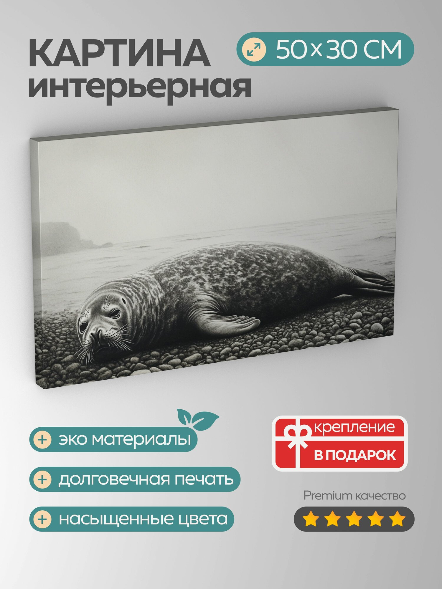 Картина на холсте интерьерная 50х30 см, Тюлень, уголь, пляж, мех, горизонт, туман, пейзаж, спокойствие, одинокий