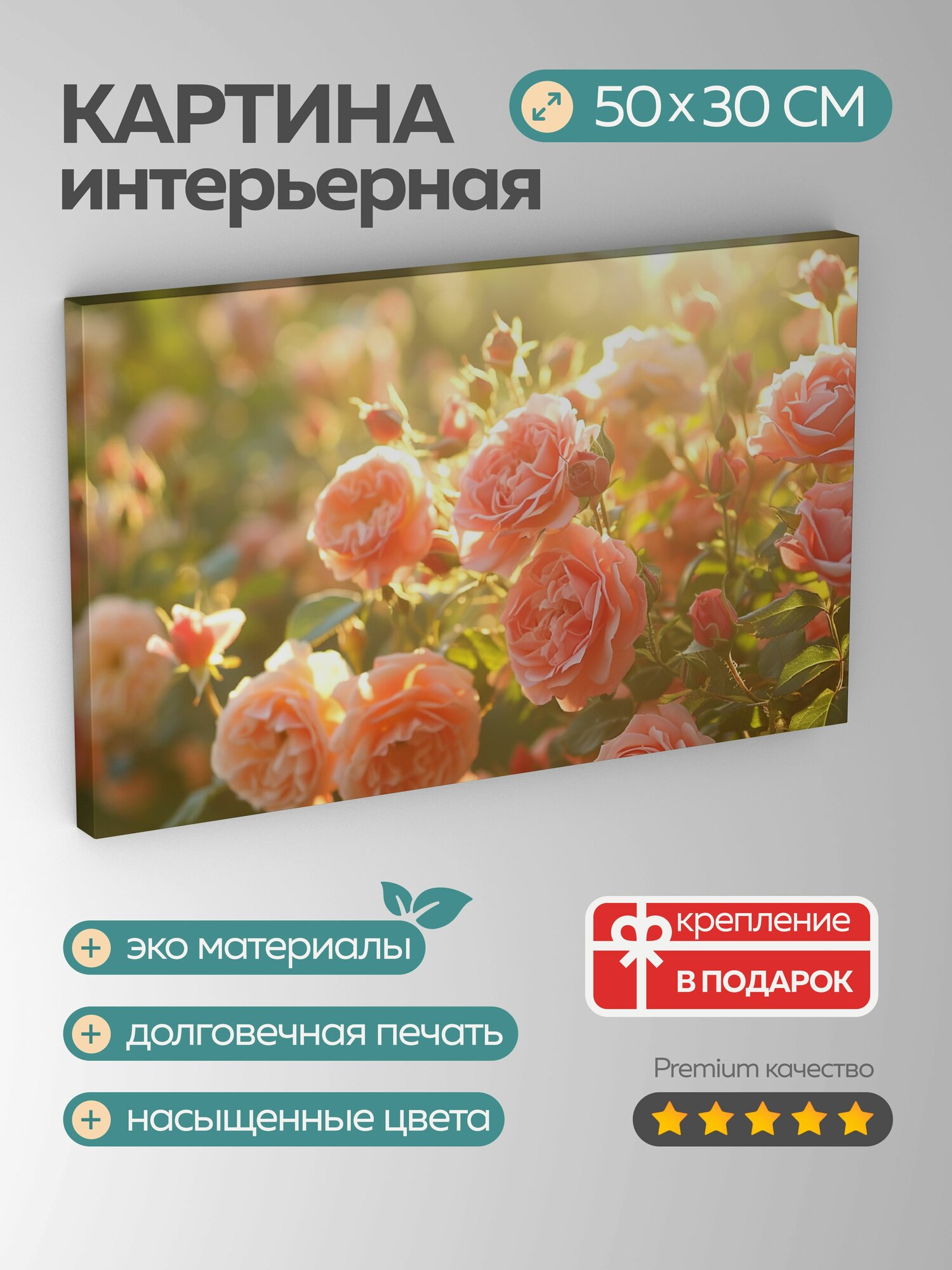 Картина на холсте интерьерная 50х30 см, сад, розы, аромат, свет, лепестки, солнце, отблеск, фотография, солнечный