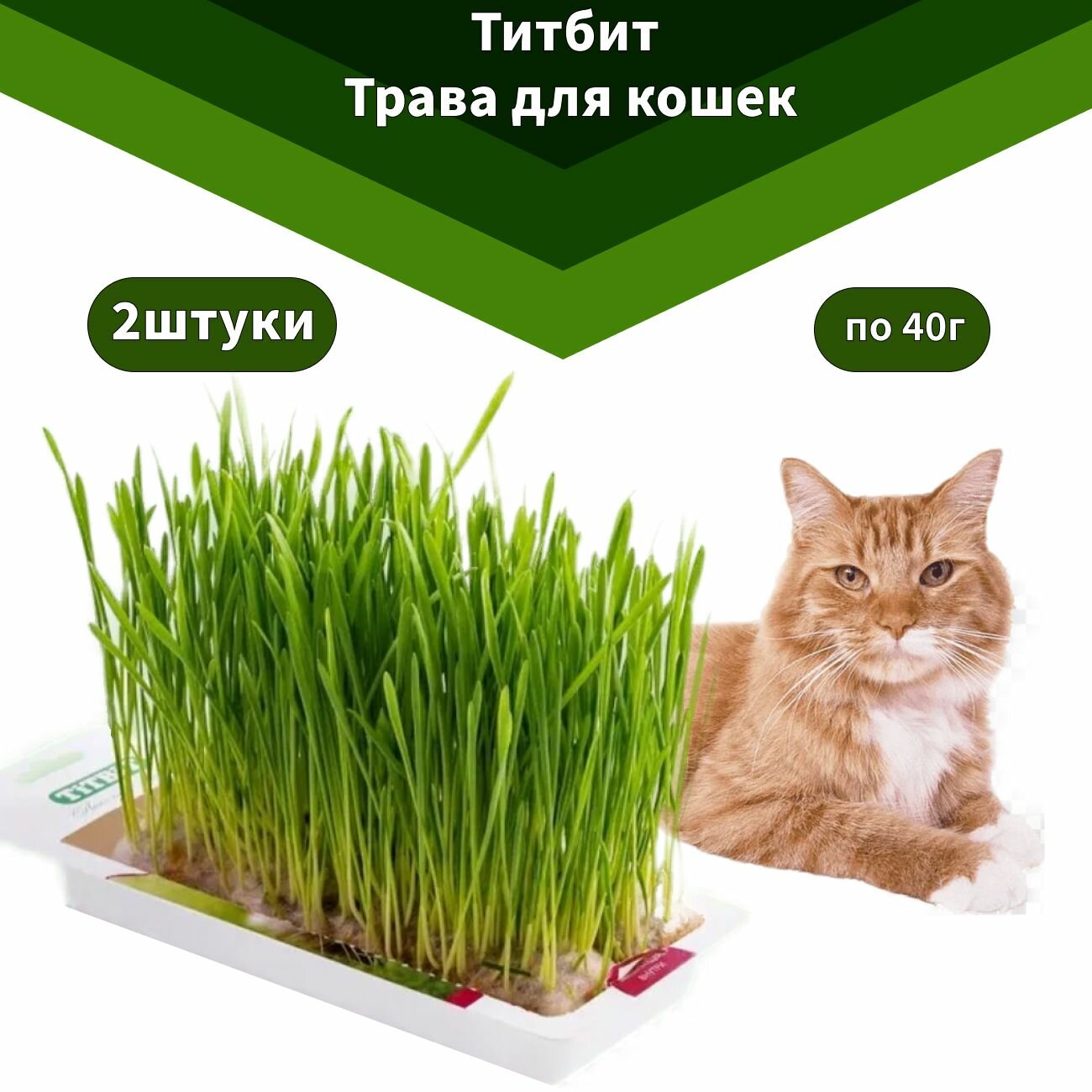Титбит Трава для кошек 2шт по 40г