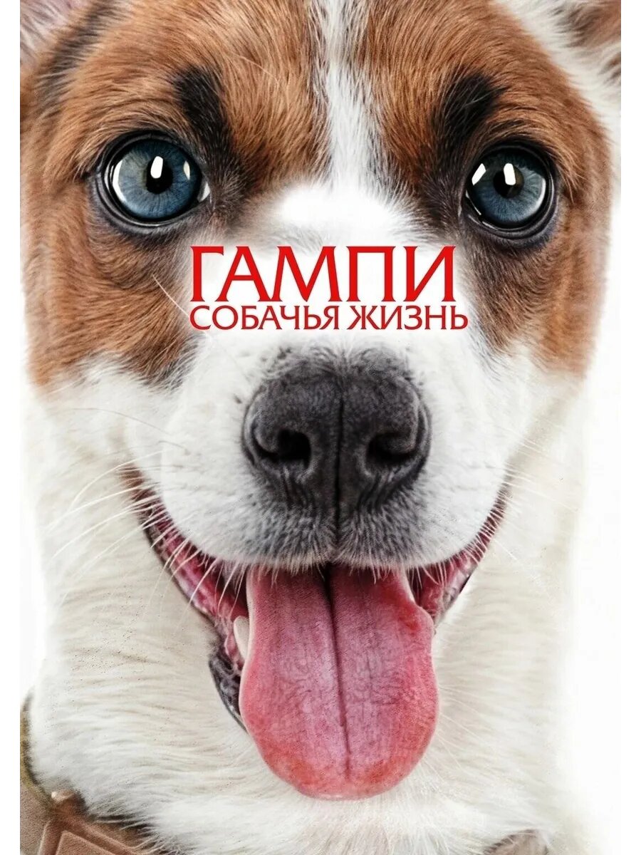 Гампи. Собачья жизнь (2024) (Флешка)
