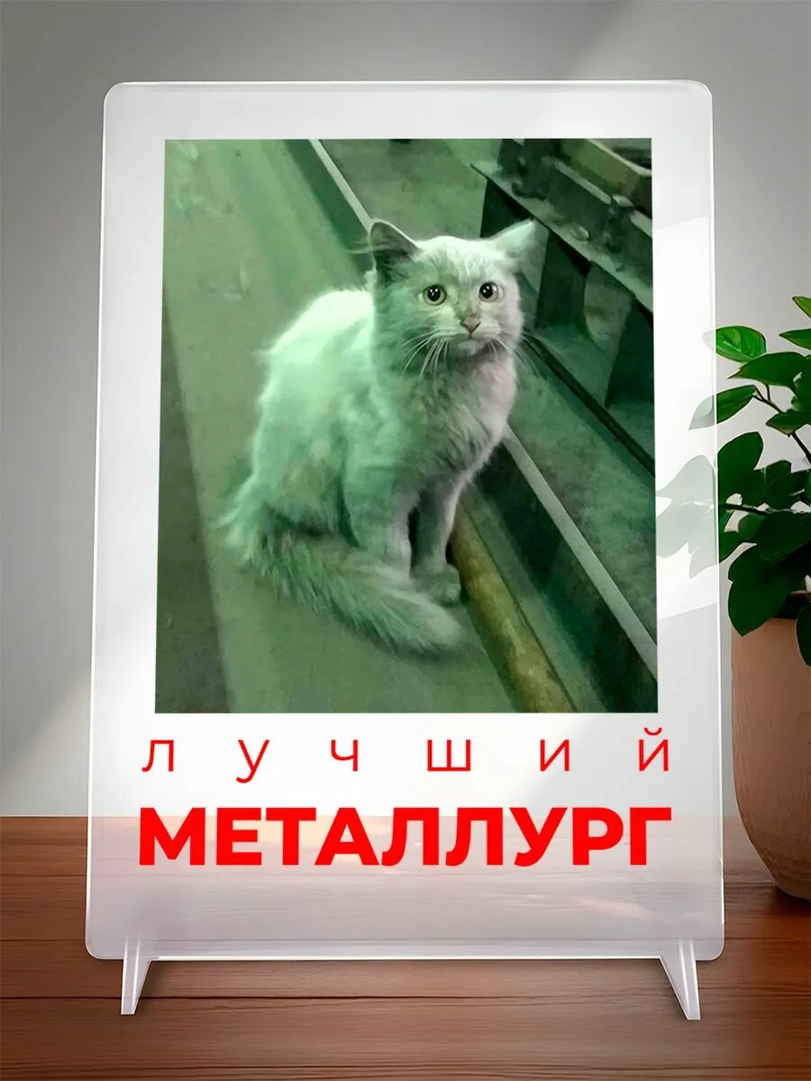 Акриловый постер подарок Металлург