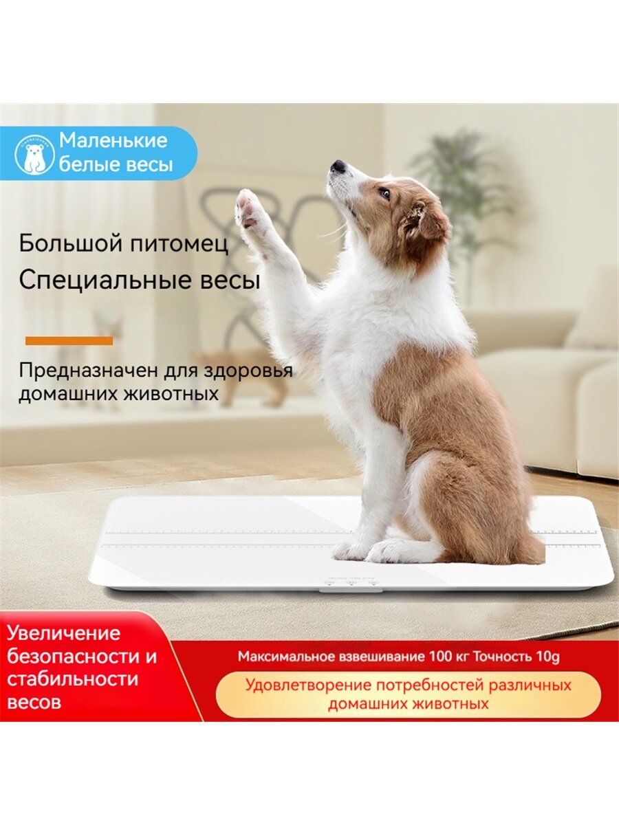 Весы для ветеринарной клиники, для животных, электронные, IP65