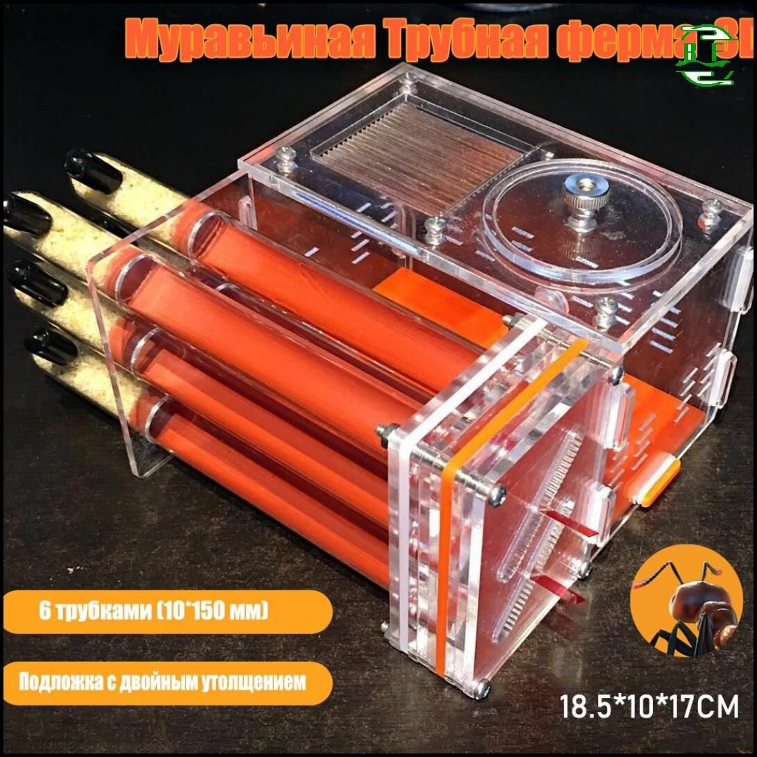 Муравьиная ферма с утолщенной трубой 6х20 мм, двойное дно-FB -lj