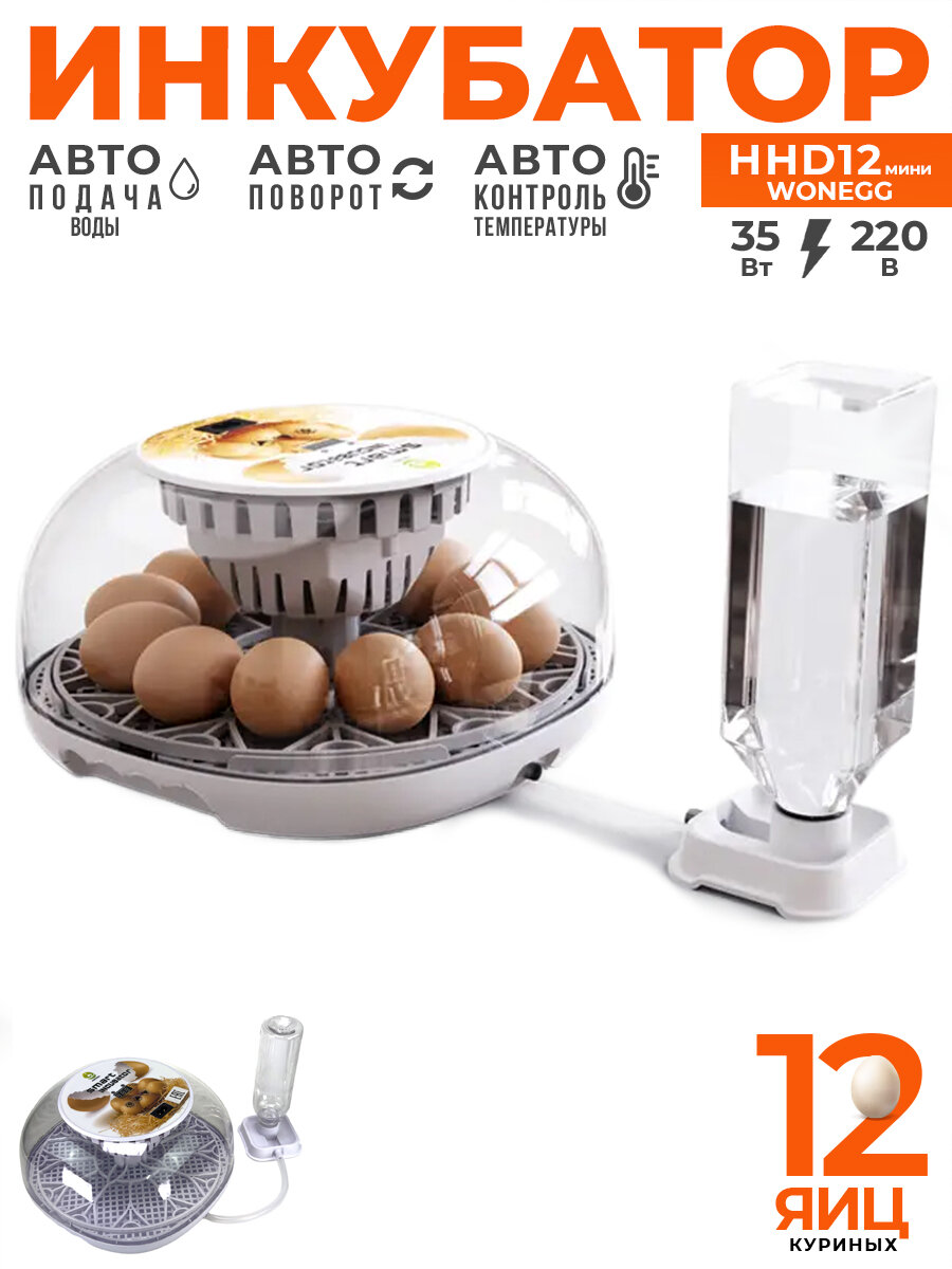 Инкубатор HHD 12 Wonegg мини автоматический на 12 яиц