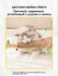 Интерактивная игрушка для кошек