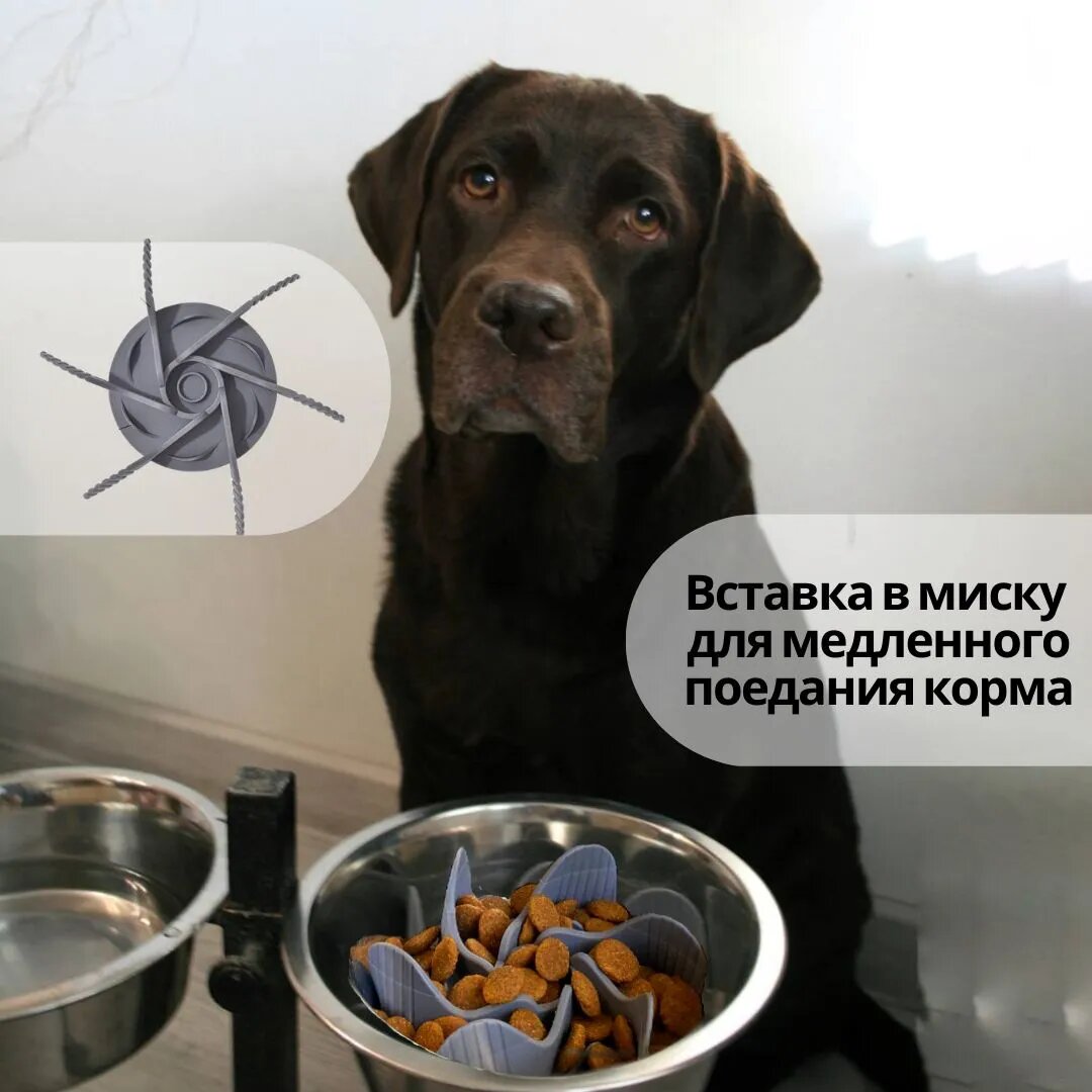 Миска для животных