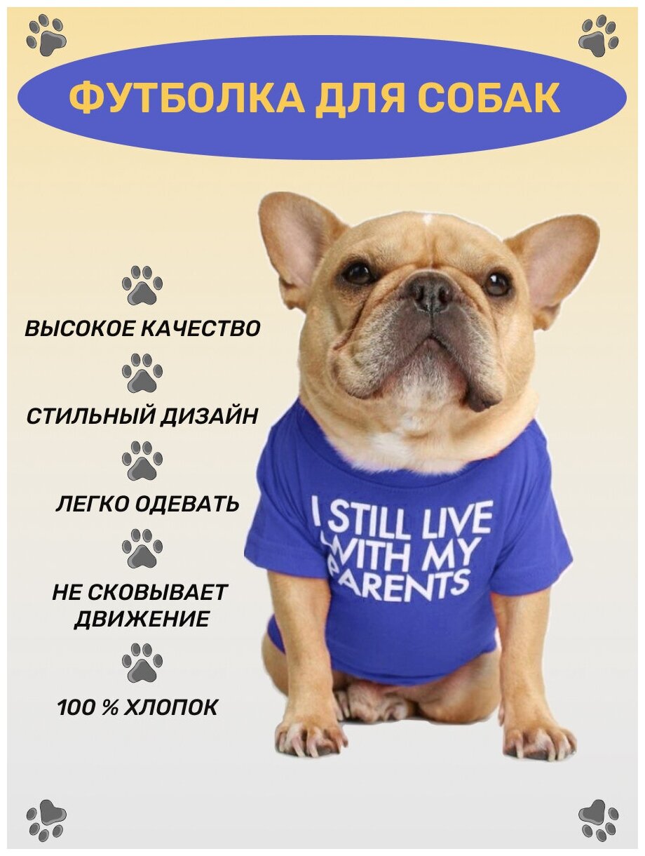 Футболка для собак мелких и средних пород, для кошек, для котов, для щенков и котят. Одежда для собак и кошек. Размер-М Синяя