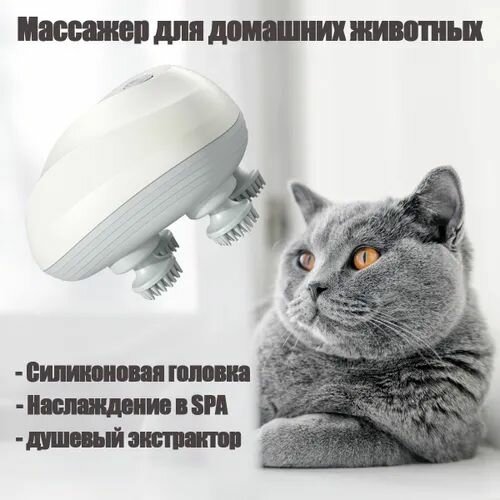 Портативная электрическая игрушка для массажа кошек(Массажер, которым вы также можете пользоваться самостоятельно) / Usb-зарядка / 1200 мАч