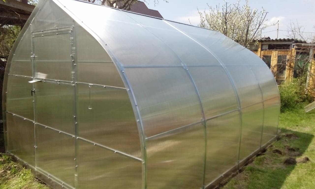 Теплица из поликарбоната Ударница дачница 20х20 мм 3х6 м шаг 0,65 м