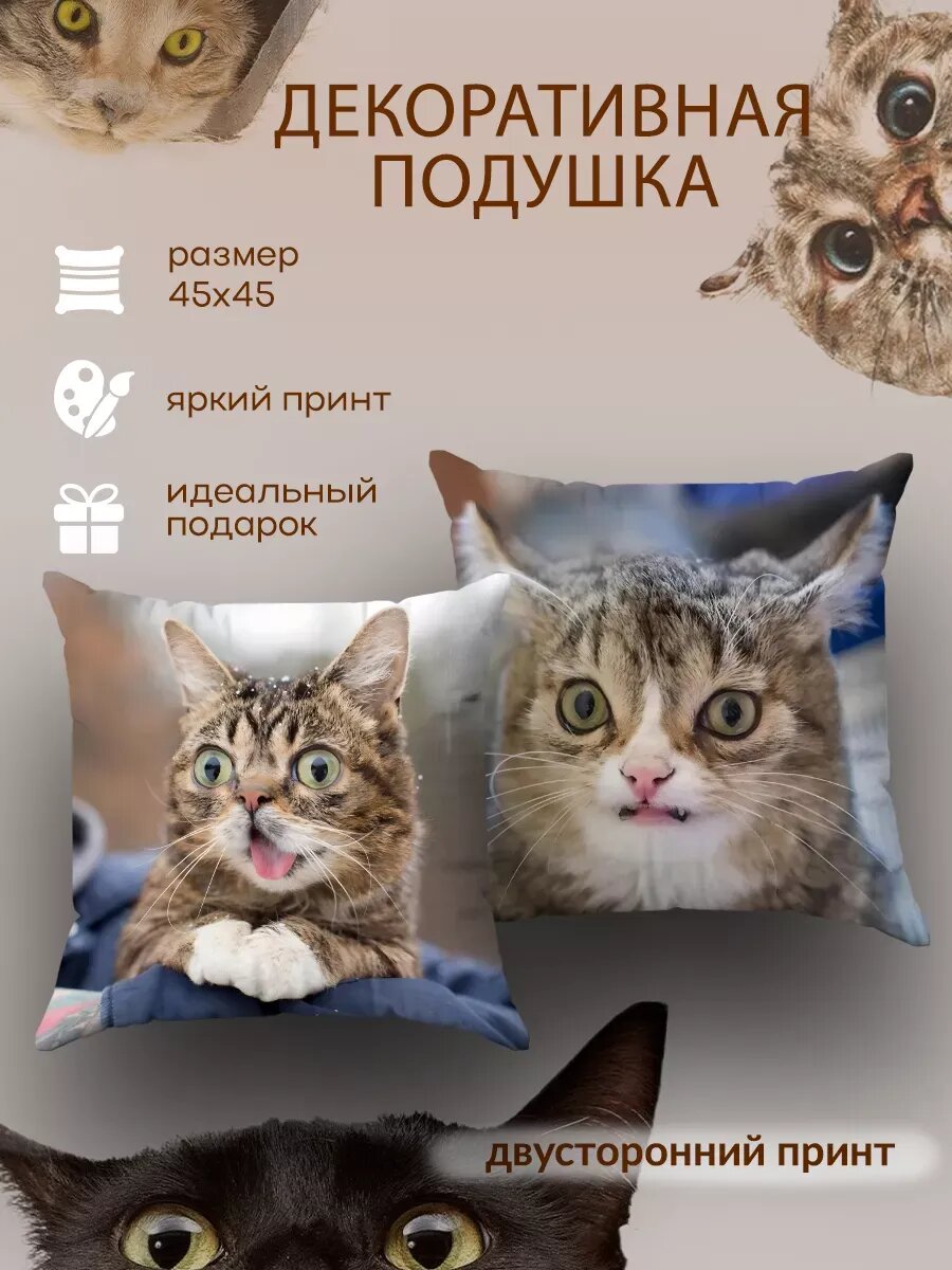 Сувенирная подушка декоративная котики мемы подарок 45х45