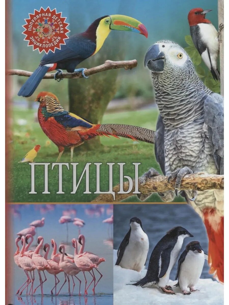 Птицы