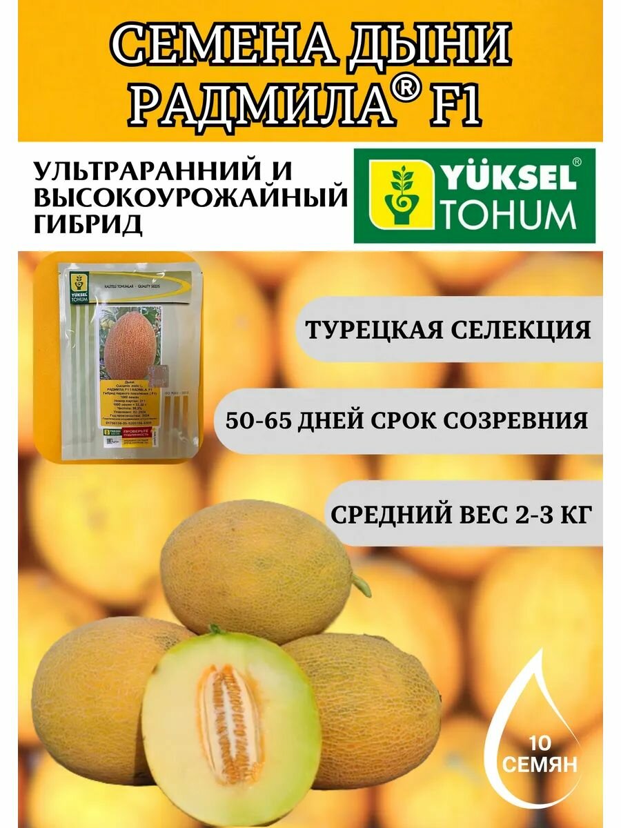 Дыня Радмила F1 10 семян Yuksel Tohum, профессиональные семена