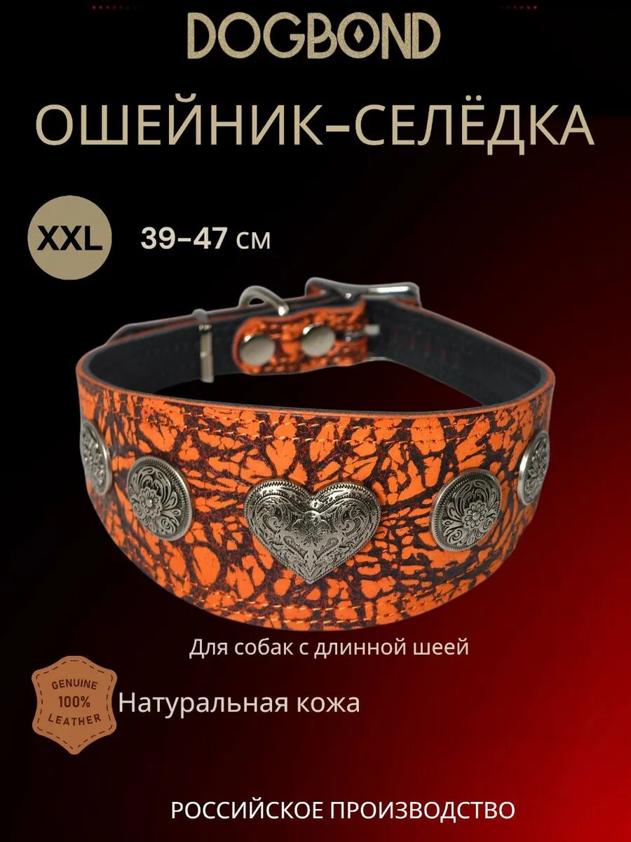 Ошейник-селедка Dogbond для грейхаундов и борзых собак