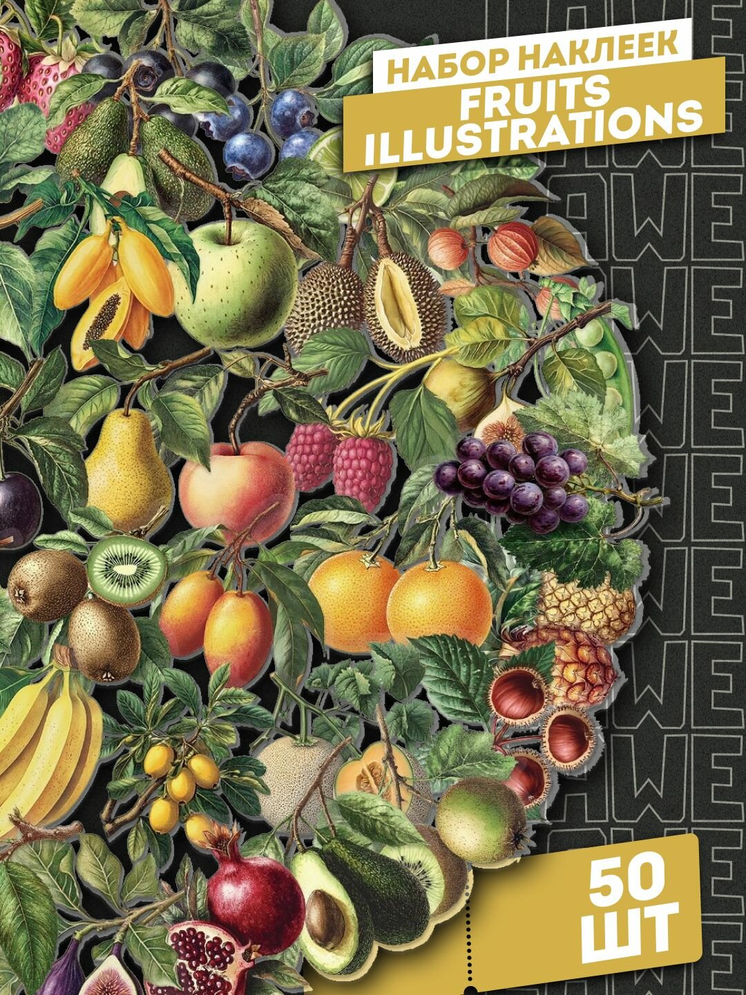 Набор самоклеящихся водостойких PET наклеек Fruits Illustrations 50 шт