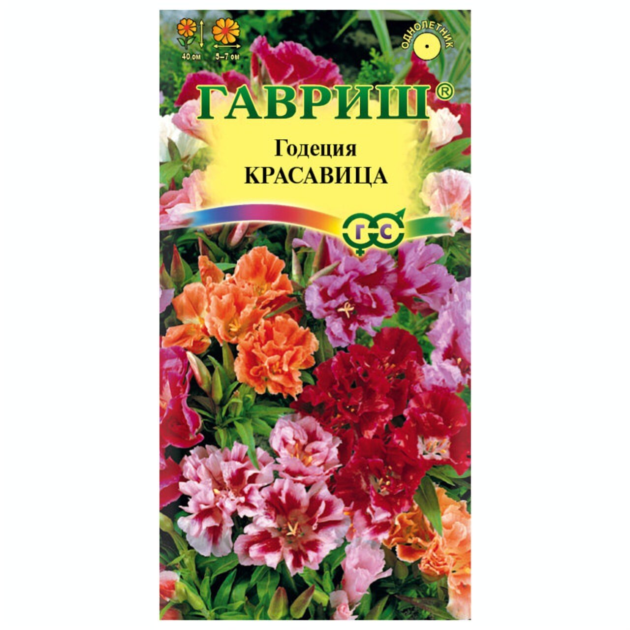 Семена Годеция Красавица махровая смесь гавриш 0,1г, для дачи, сада, огорода и на рассаду