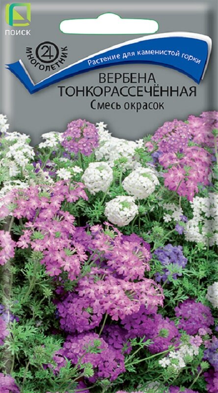 Семена цветов вербена тонкорассеченная микс, для дачи, сада, огорода и на рассаду