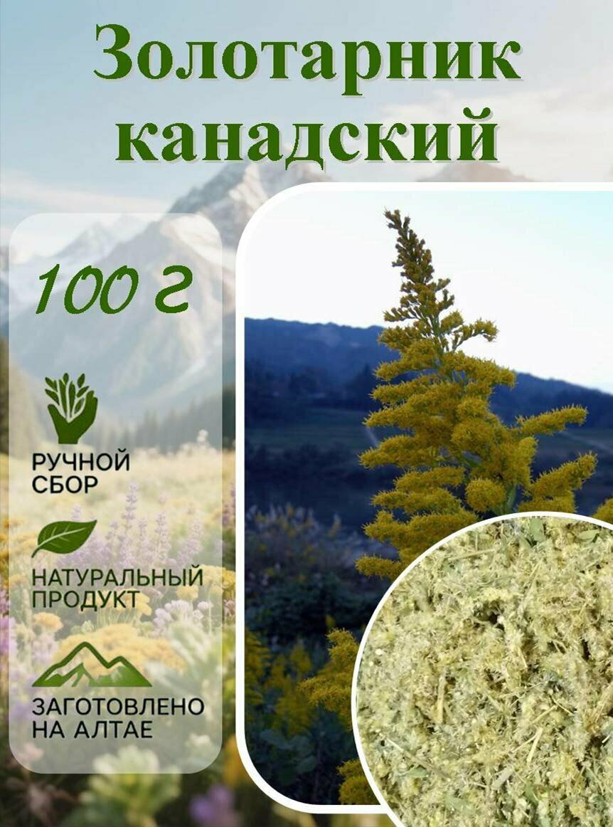 Золотарник канадский, цветки резанные 15-25 мм, 100 грамм, АлтайМир