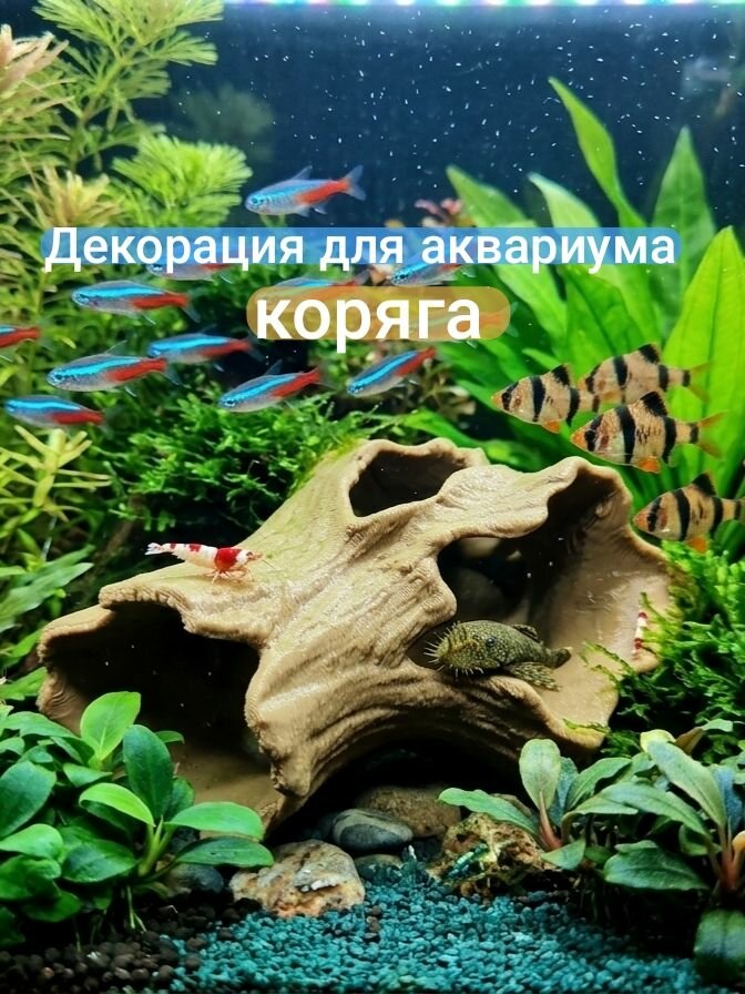 Укрытие для креветок, сомов , рыбок - * коряга* цвет светло- коричневый древесный