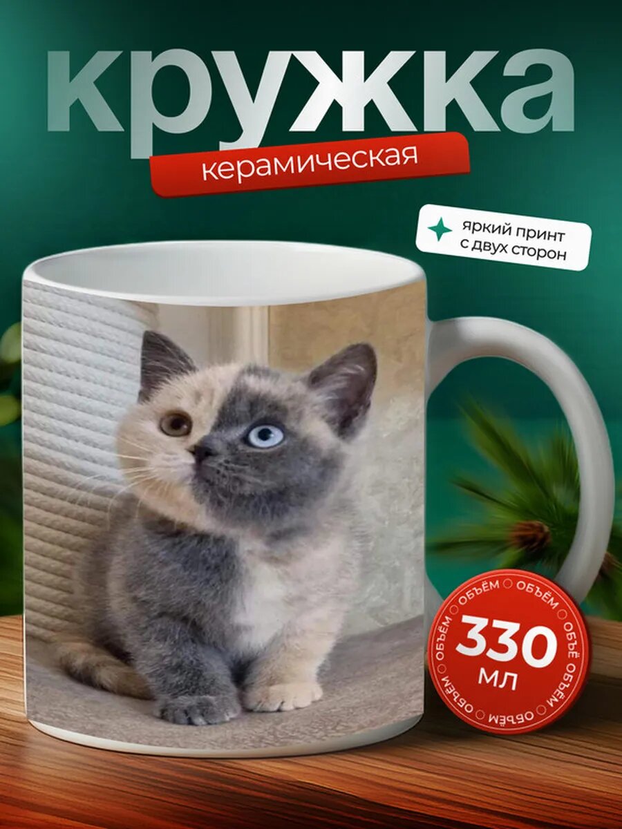 Кружка Шотландская вислоухая кошка 58,