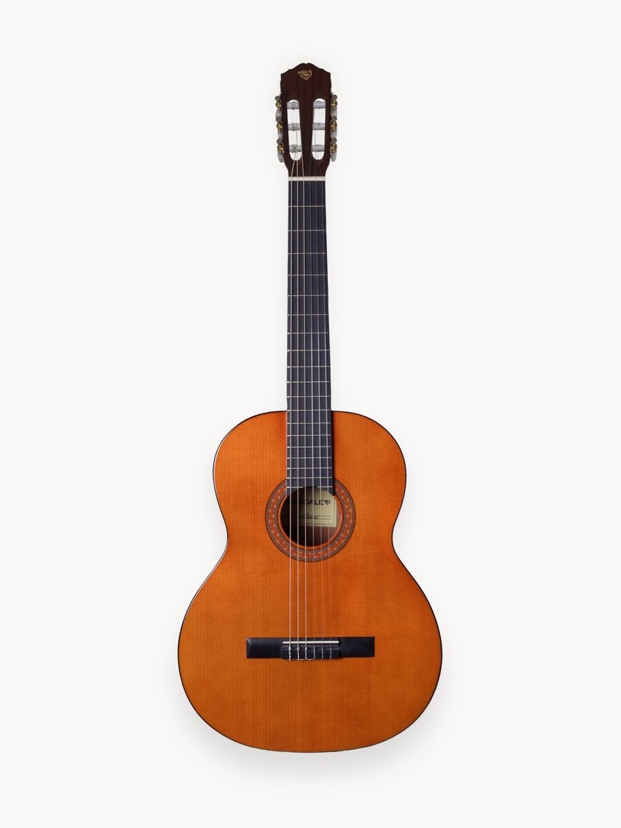 Классическая гитара ROCKDALE Classic С4