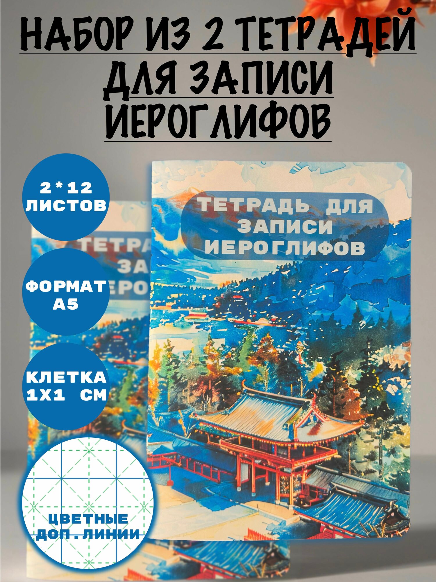 Набор тетрадей для записи иероглифов (китайских, японских, корейских)