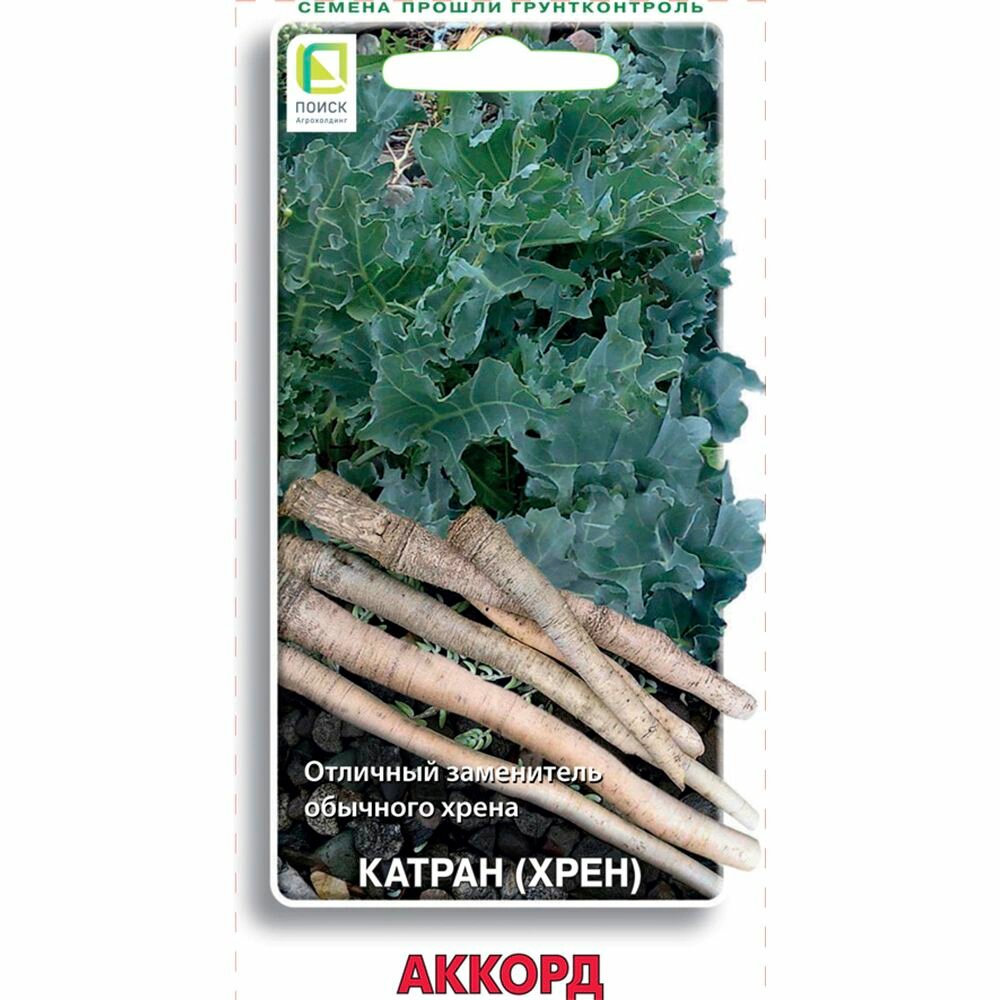 Катран (Хрен) Аккорд 0,3 г