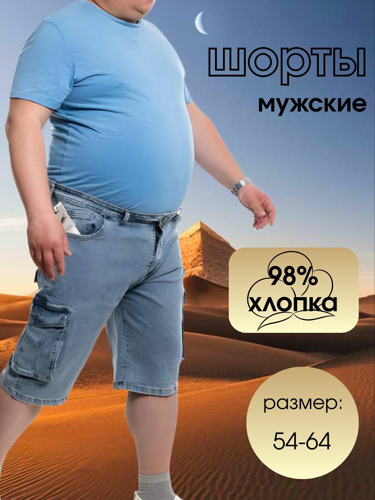 Бриджи