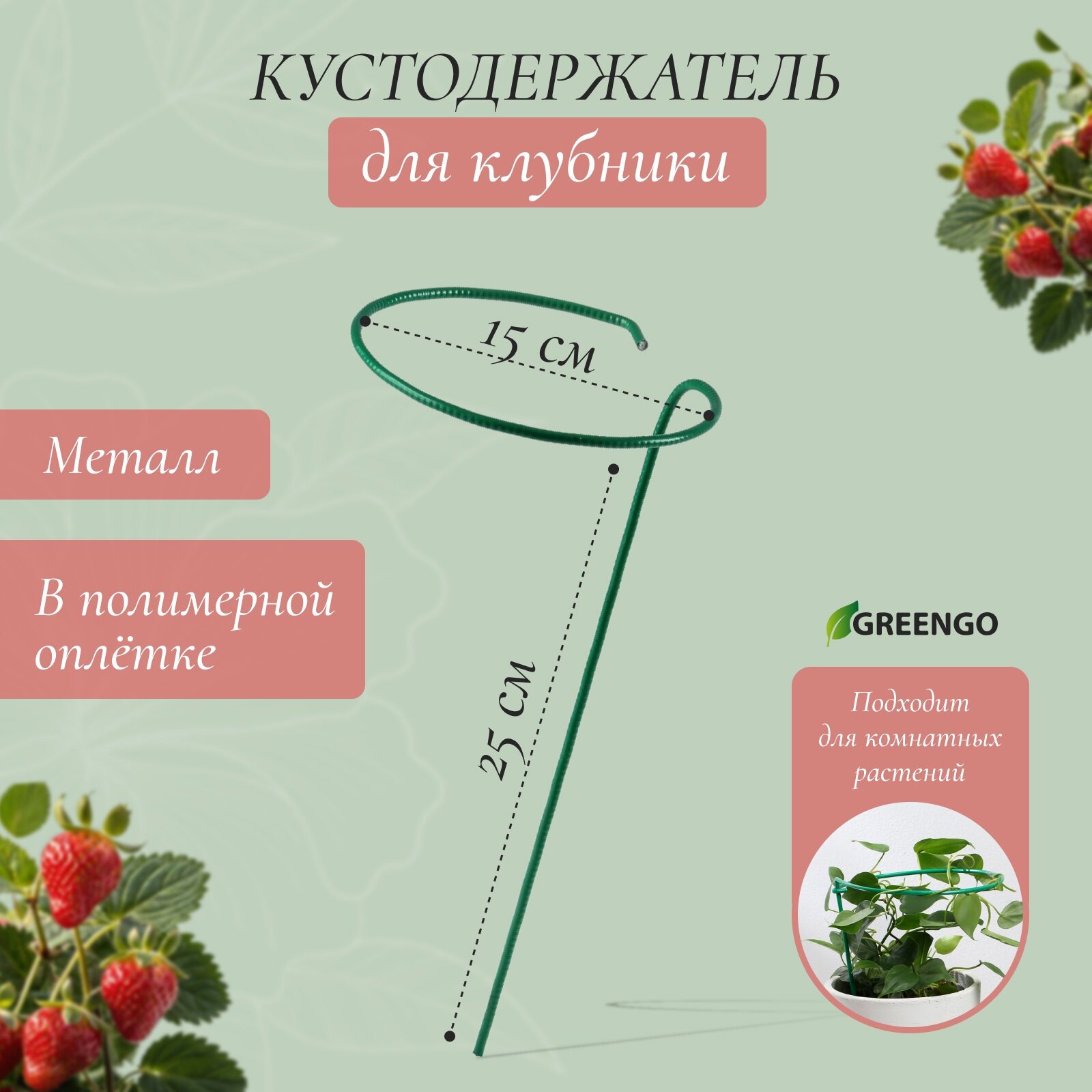 Кустодержатель для клубники "Greengo" d=15 см, h=25 см, ножка d=0.3 см, металл, зелёный, Greengo