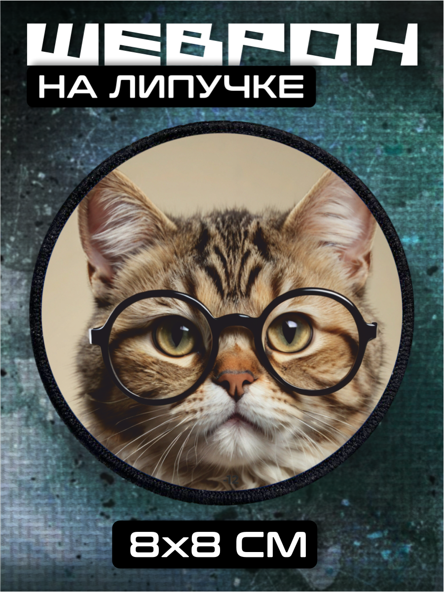 Шеврон на липучке кот в очках