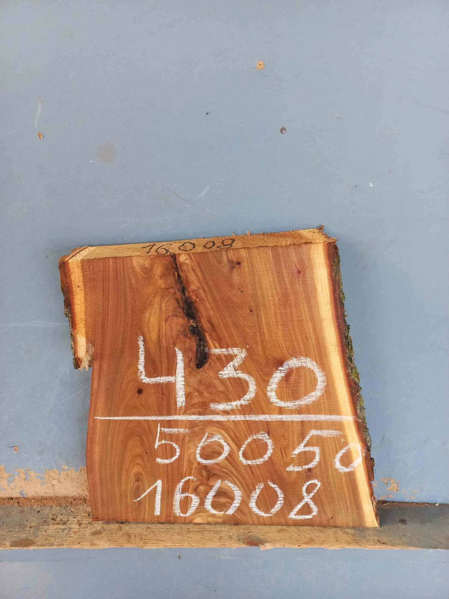 Слэб натурального дерева ценных пород Карагач №16008, 5*43*50 см, доклес