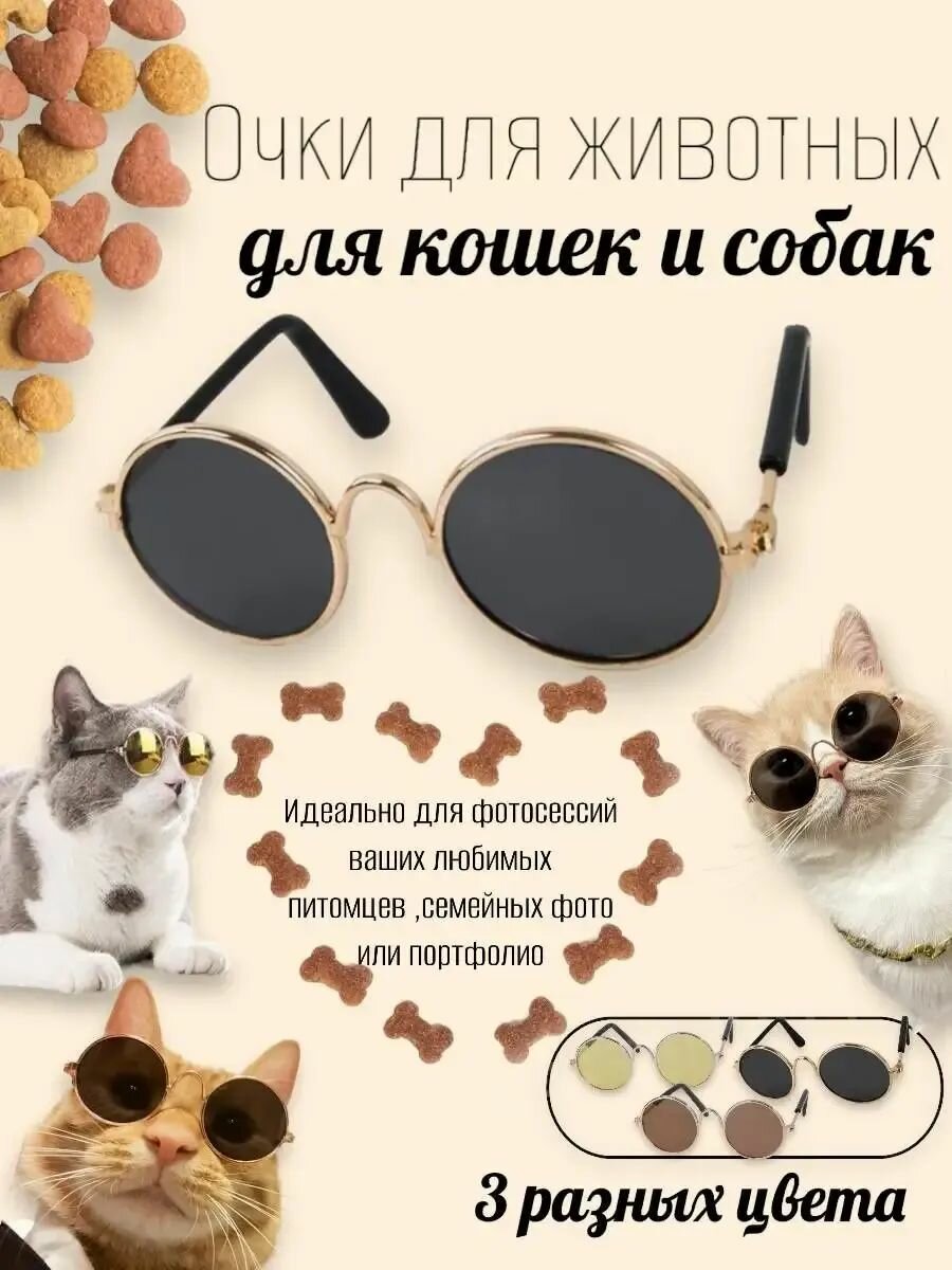 Одежда для животных