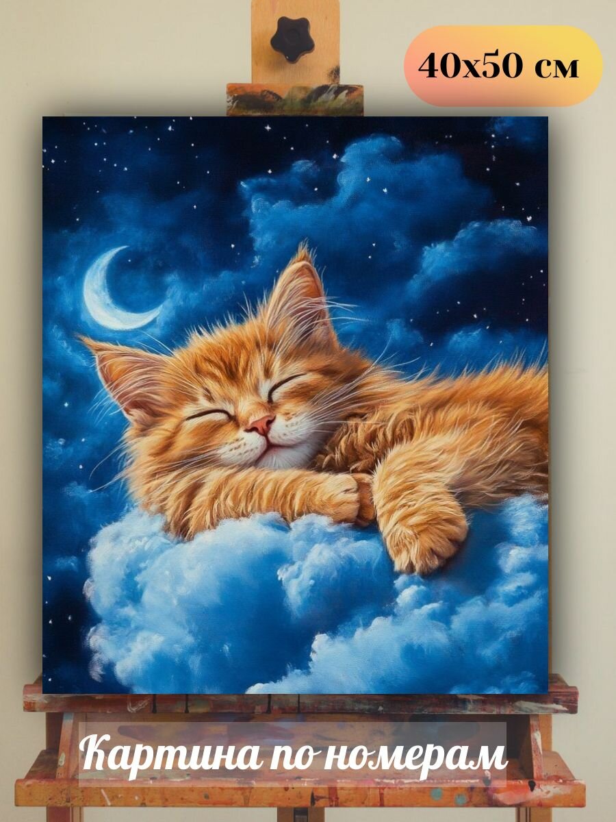 Картина по номерам на подрамнике 40х50 см Сладкий сон с максимальной красочной детализацией