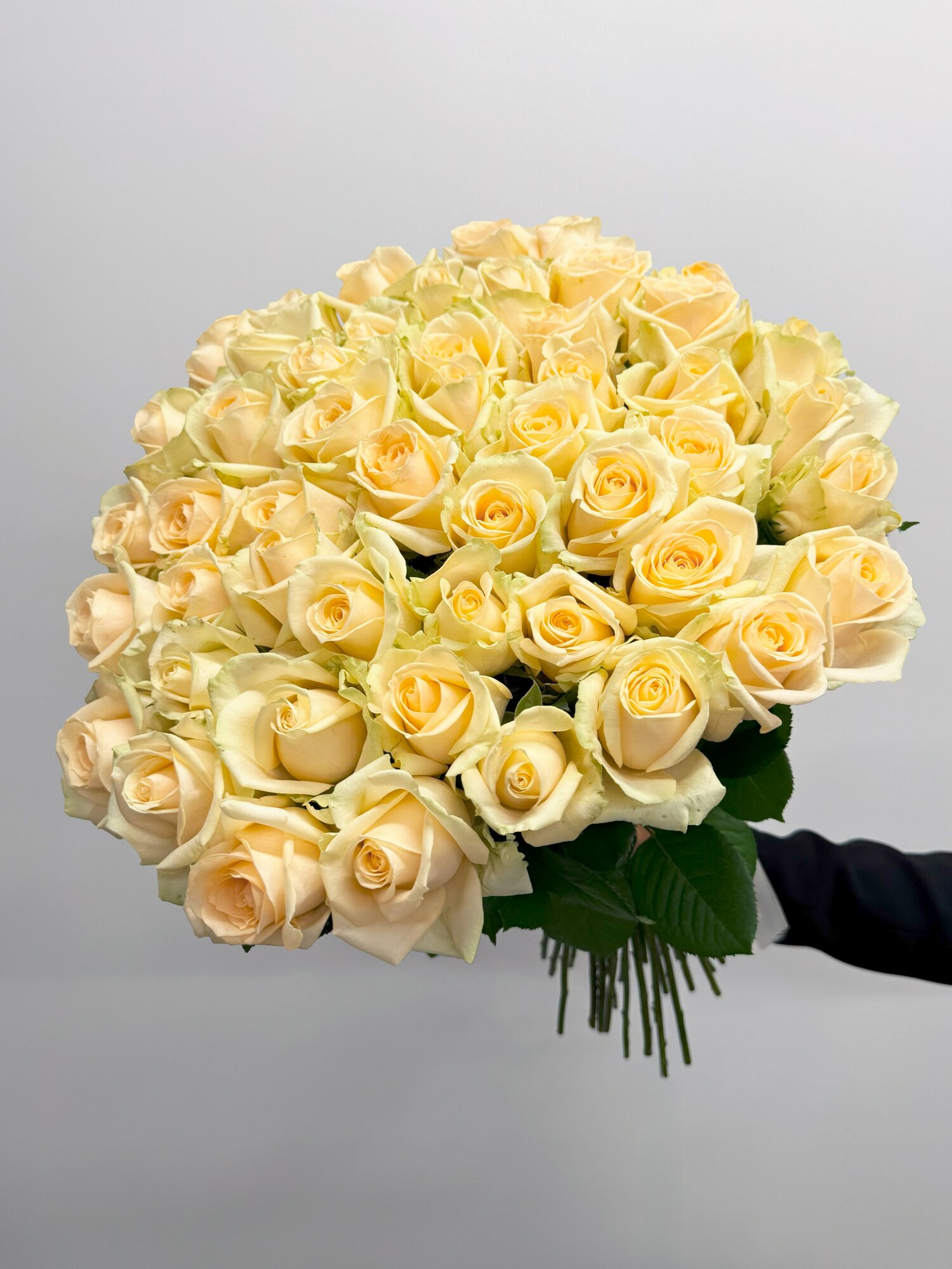 Букет живых цветов, персиковые розы 51 шт 50 см "Пич Аваланж", флау стор