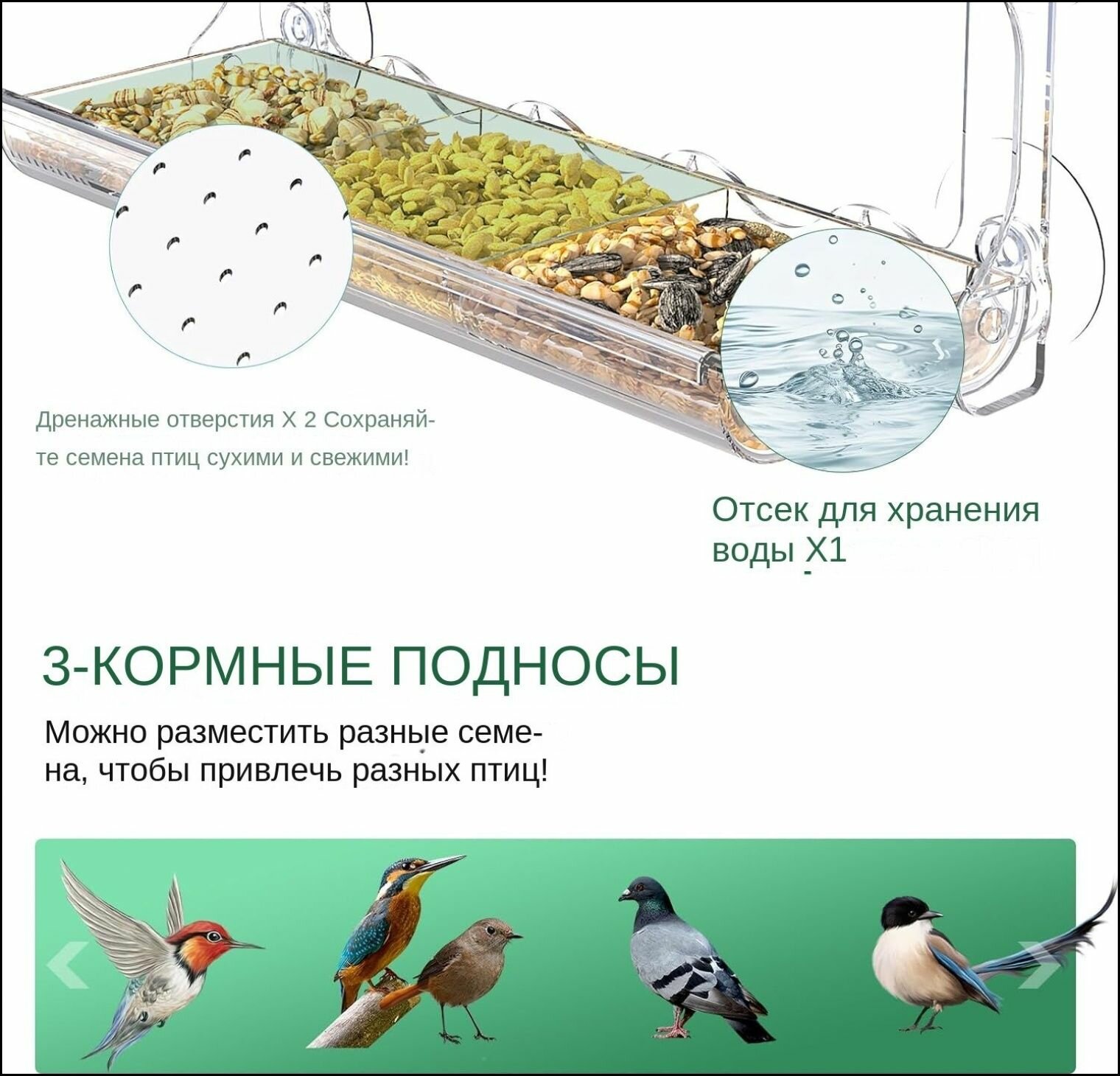 Эксклюзивная оконная кормушка для пернатых