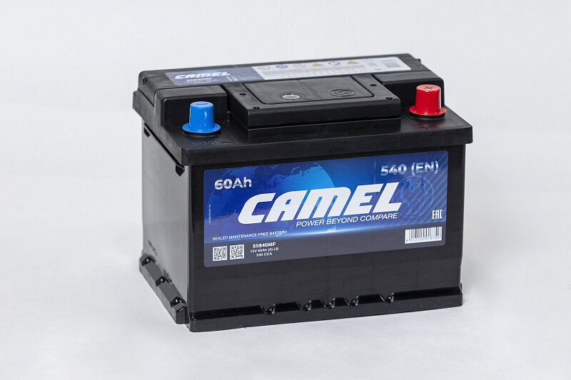 Аккумулятор автомобильный CAMEL 60Ah 560A ОП 242x175x175
