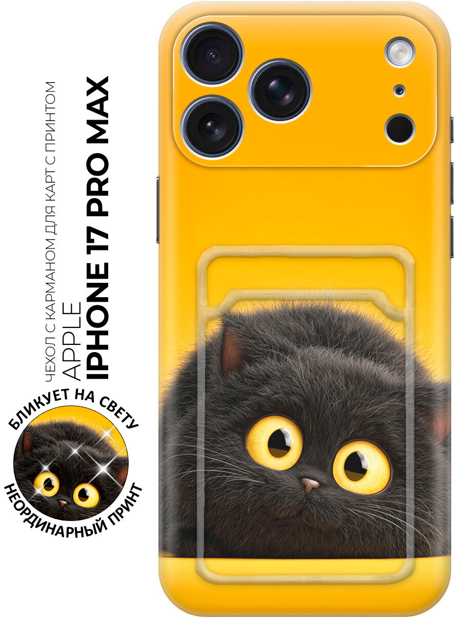 Силиконовый чехол на Apple iPhone 17 Pro Max с принтом "Чёрный кот на солнечном фоне" с карманом для карты