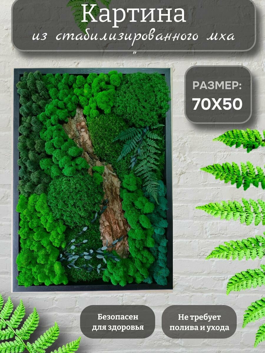 Панно из мха/70*50/Прелестное
