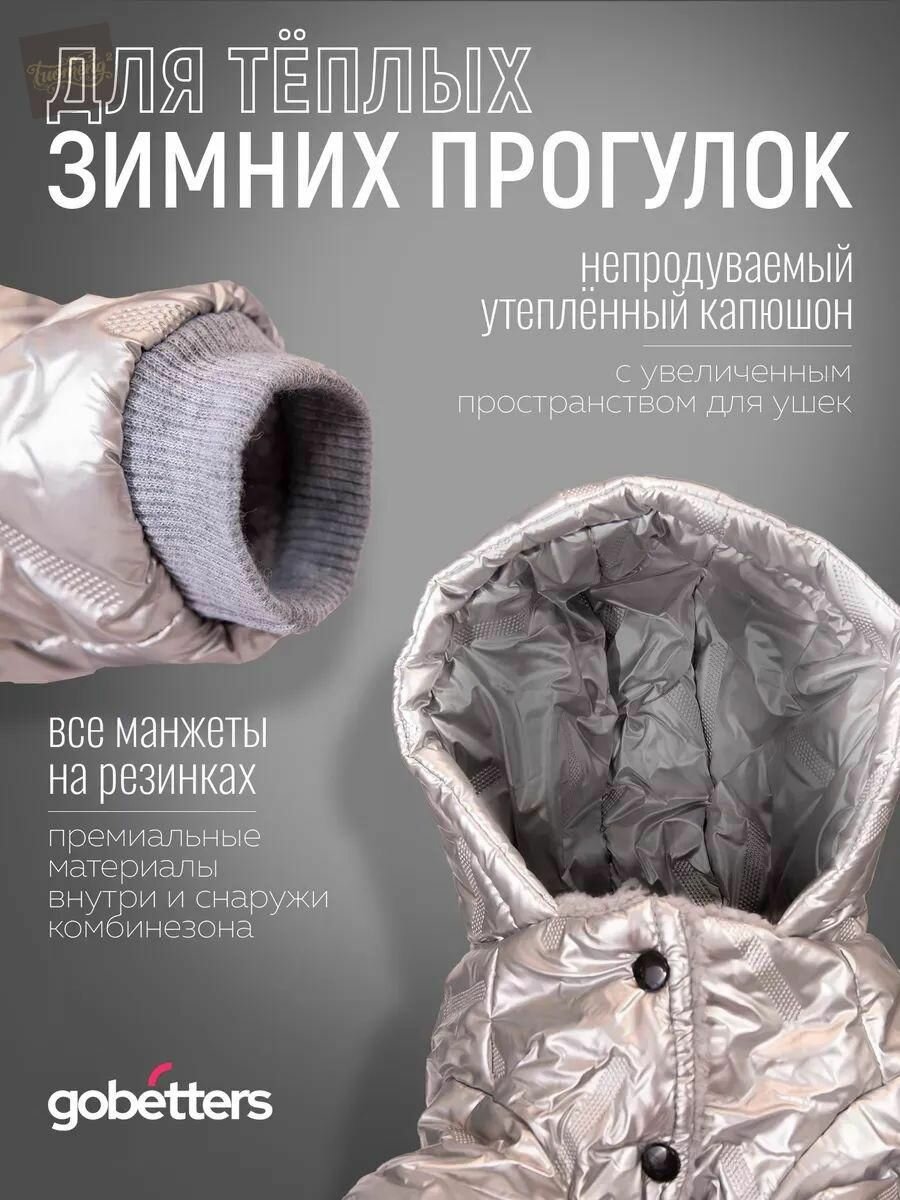 Одежда для животных — фото 1