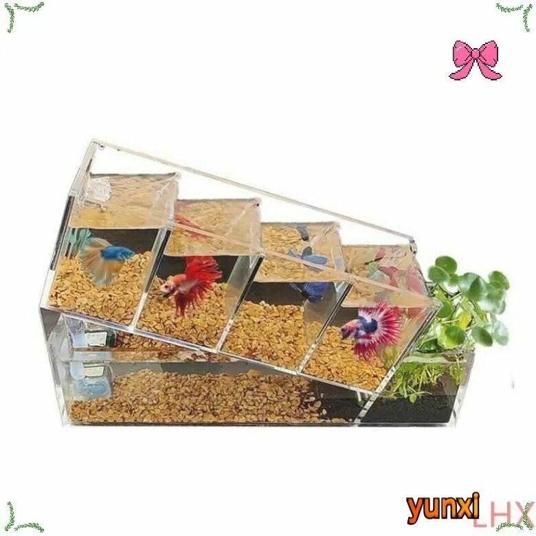 Аквариум Для Петушка