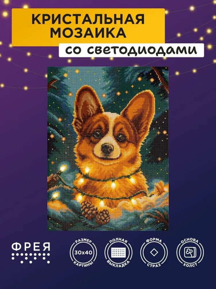 Алмазная мозаика на подрамнике со светодиодами 30x40 Корги с гирляндой ALDD-314