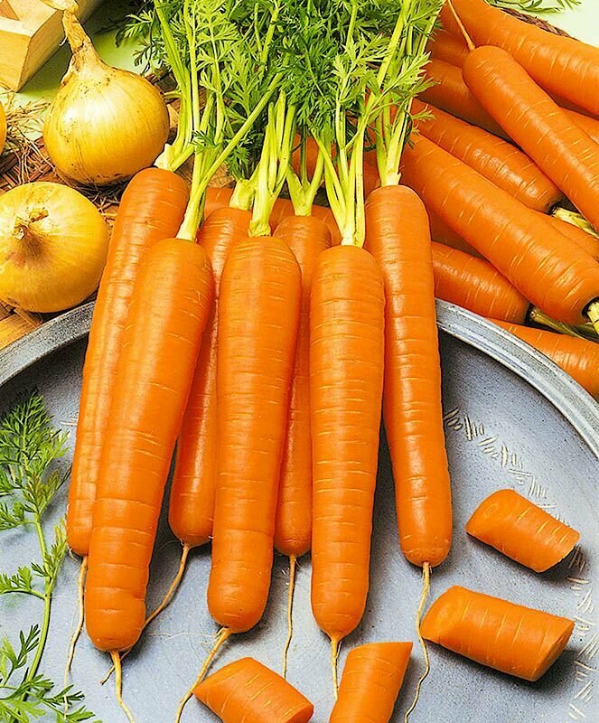 Коллекционные семена моркови Наталья F1