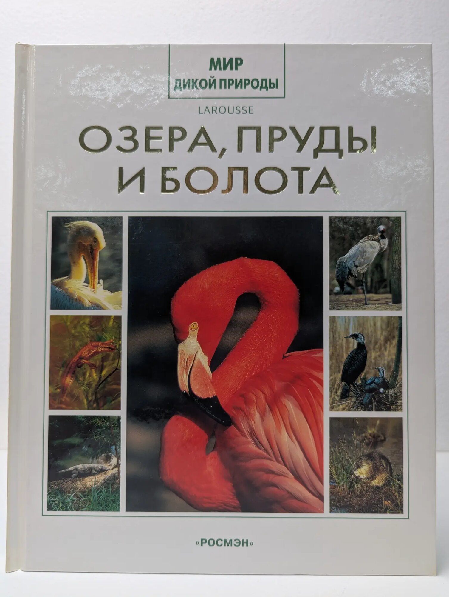 Озера, пруды и болота Сборник 1998