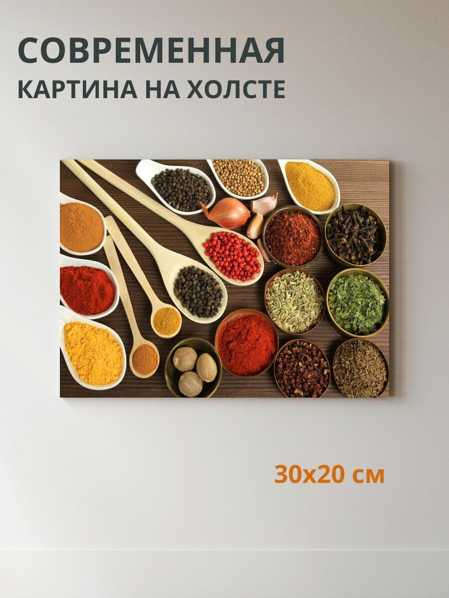 Картина на холсте Ложки и специи 30x20 см