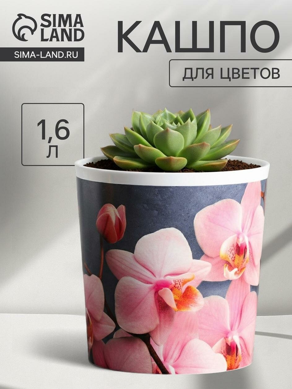 Кашпо Дарите счастье «Орхидея» 4385247, пластик, 1,6л, настольное, для дома