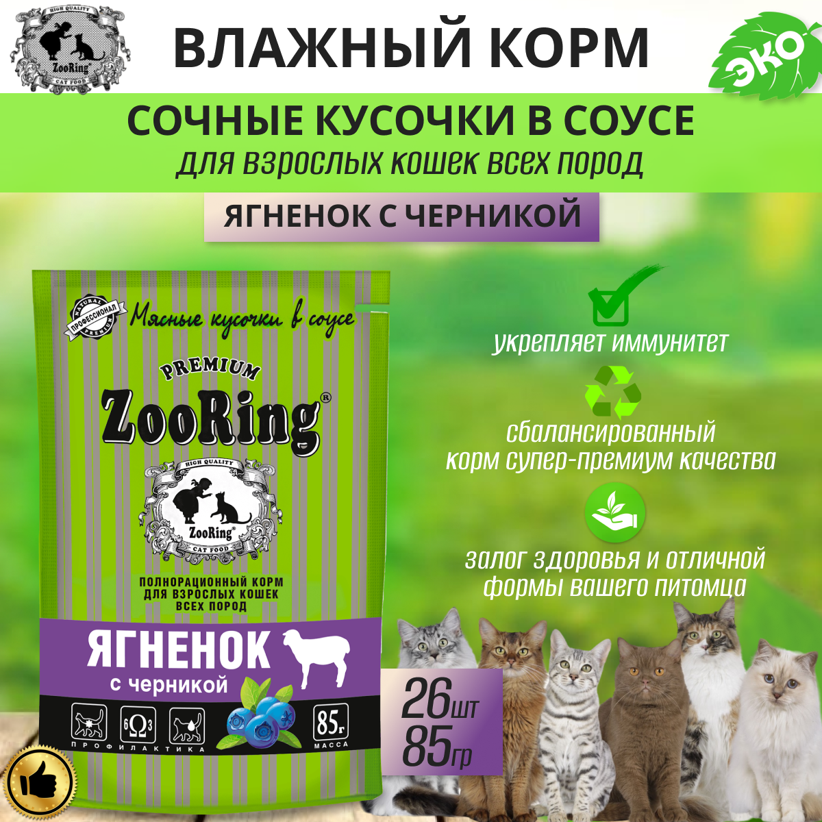 Влажный корм для кошек Zooring сочные кусочки в соусе, Ягненок с черникой, паучи, 26 шт х 85 гр