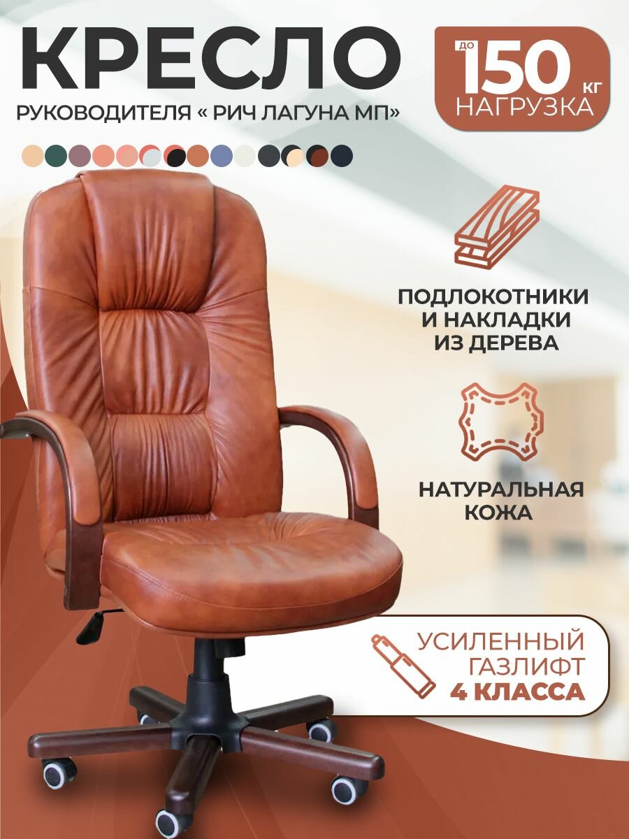 Рич-лагуна МР кожа 2011