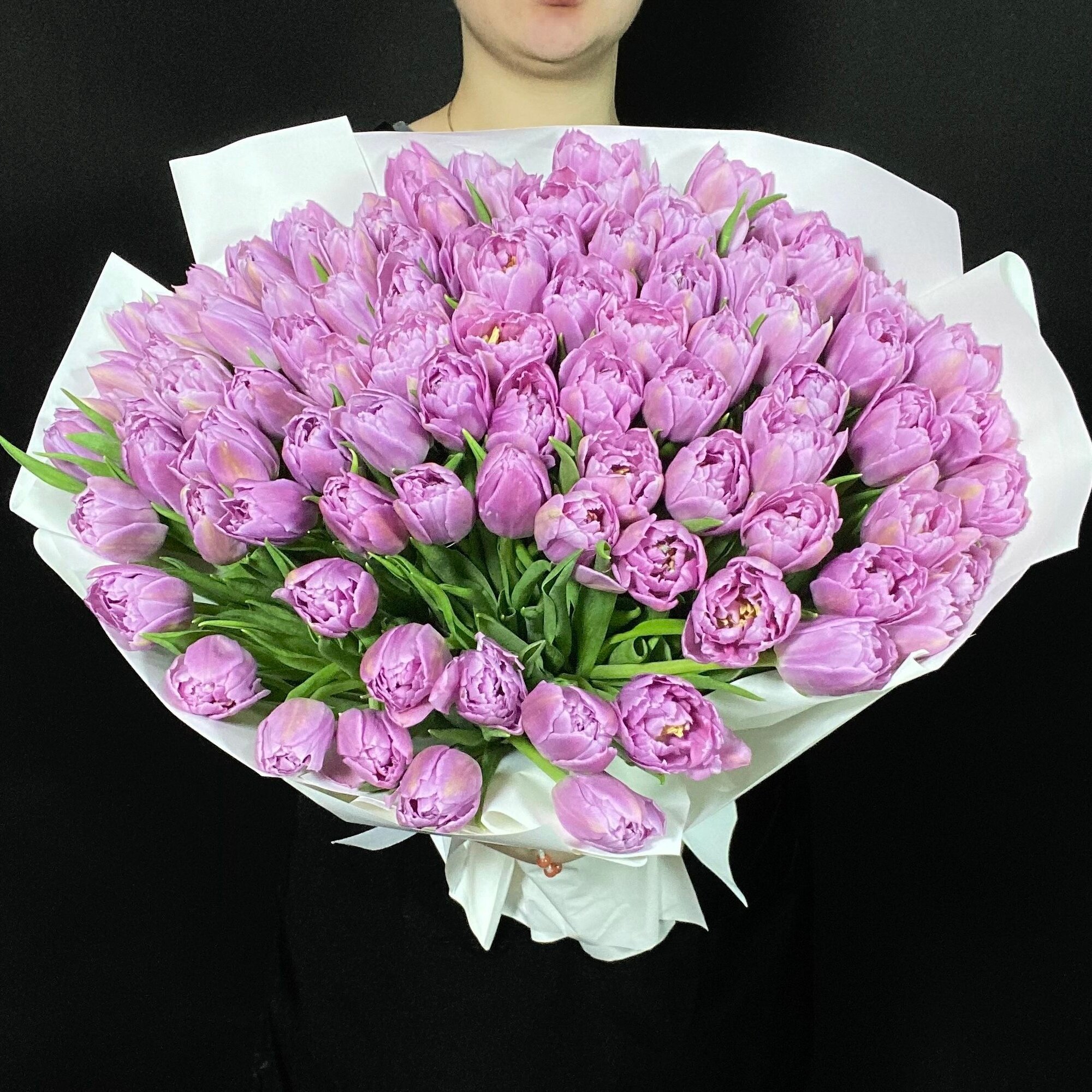 Фиолетовые тюльпаны