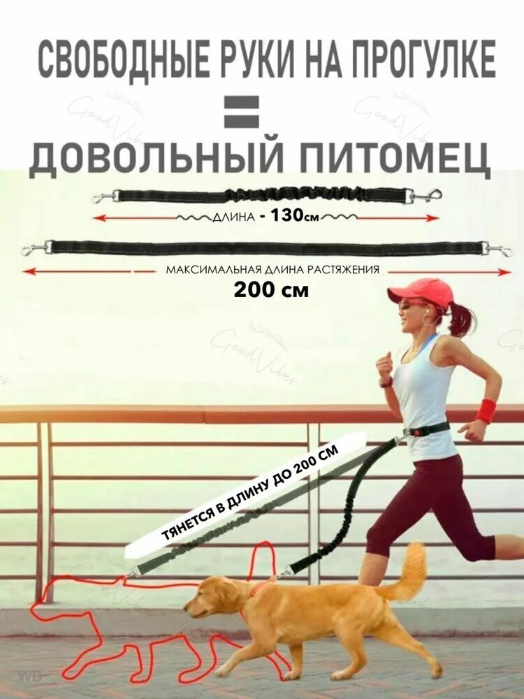 Поводок для собак, Big Jungle, с поясом для выгула, для бега с собакой, с амортизатором