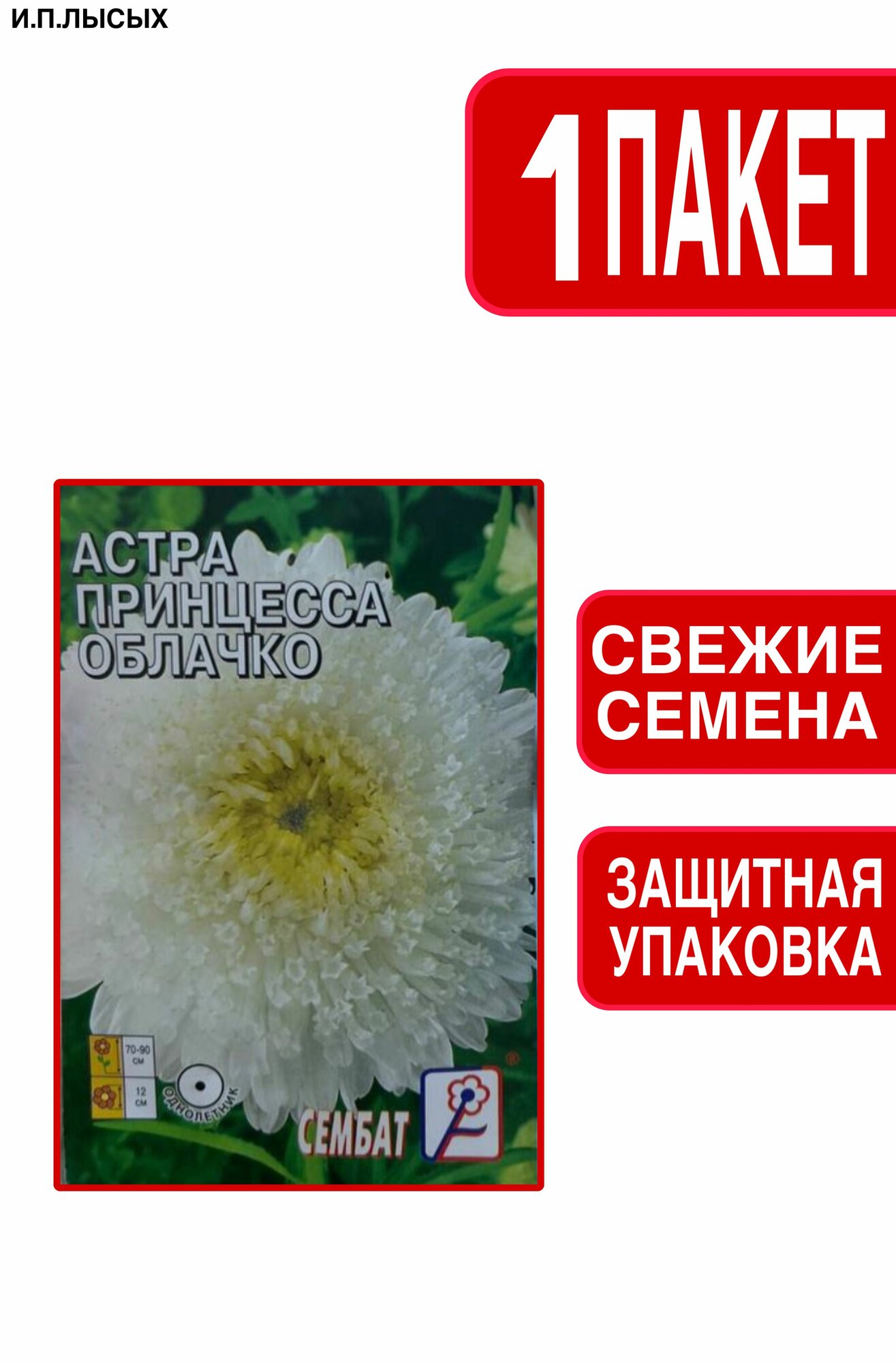 Семена Астра "Принцесса Облачко"