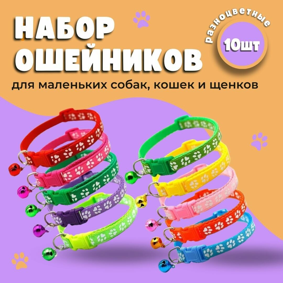 Ошейник повседневный, нейлон, для кошек и собак, длина 19 - 31 см